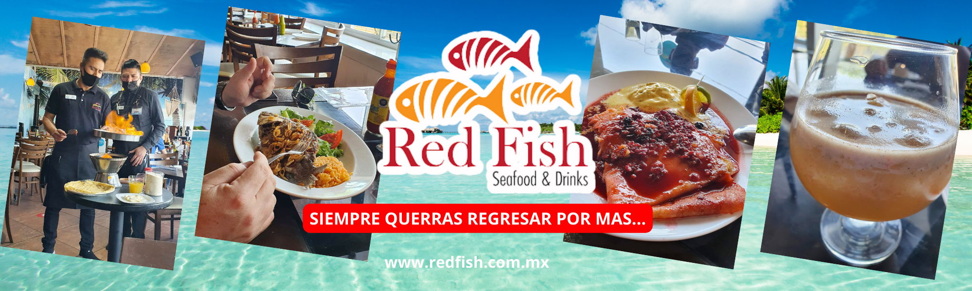 Red Fish Atizapán - Red Fish